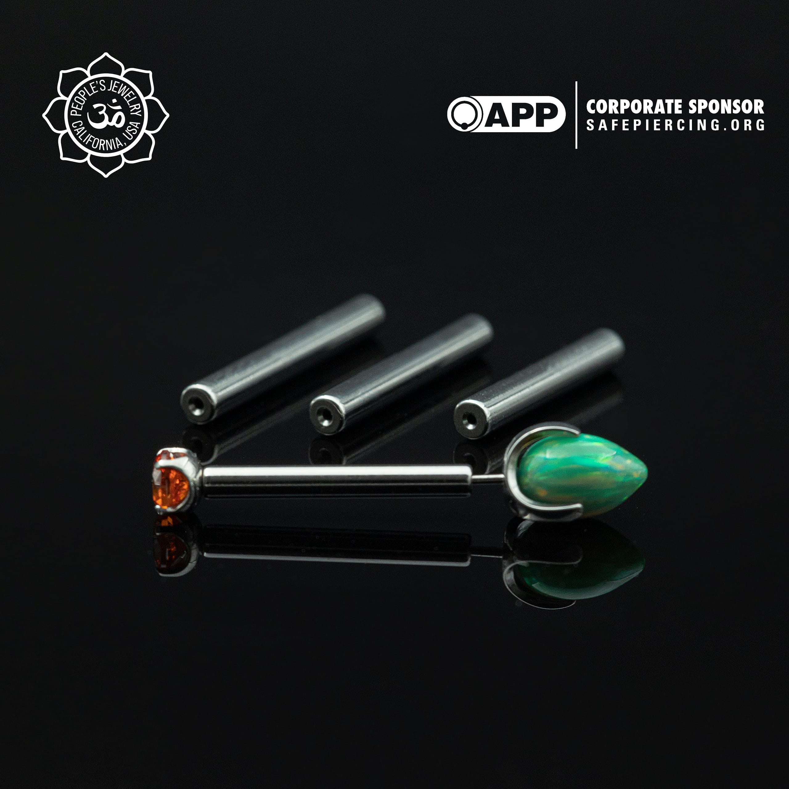 Threadless Titanium Straight Barbells – People's Jewelry