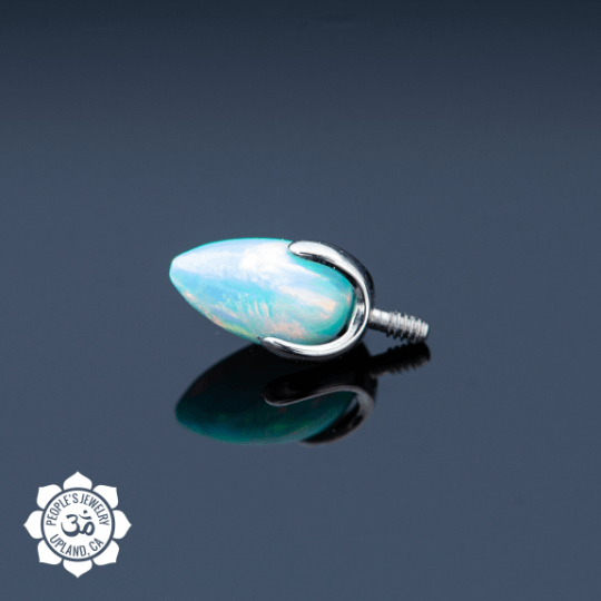 Threaded Titanium Claws - Bullet – People's Jewelry